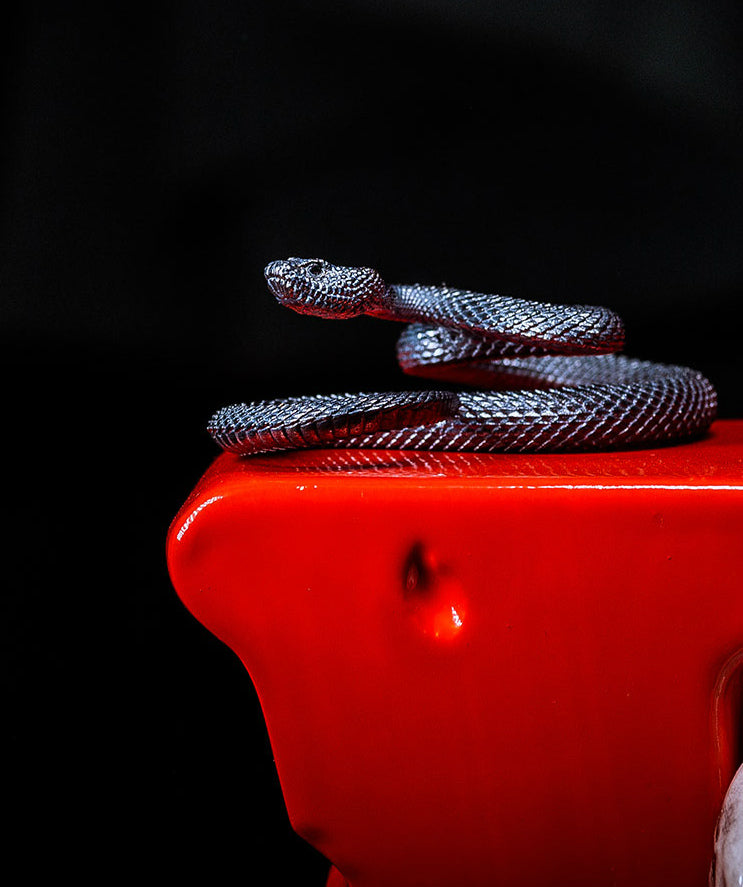 Snake Pendant Key Ring Large – Holy Buyble